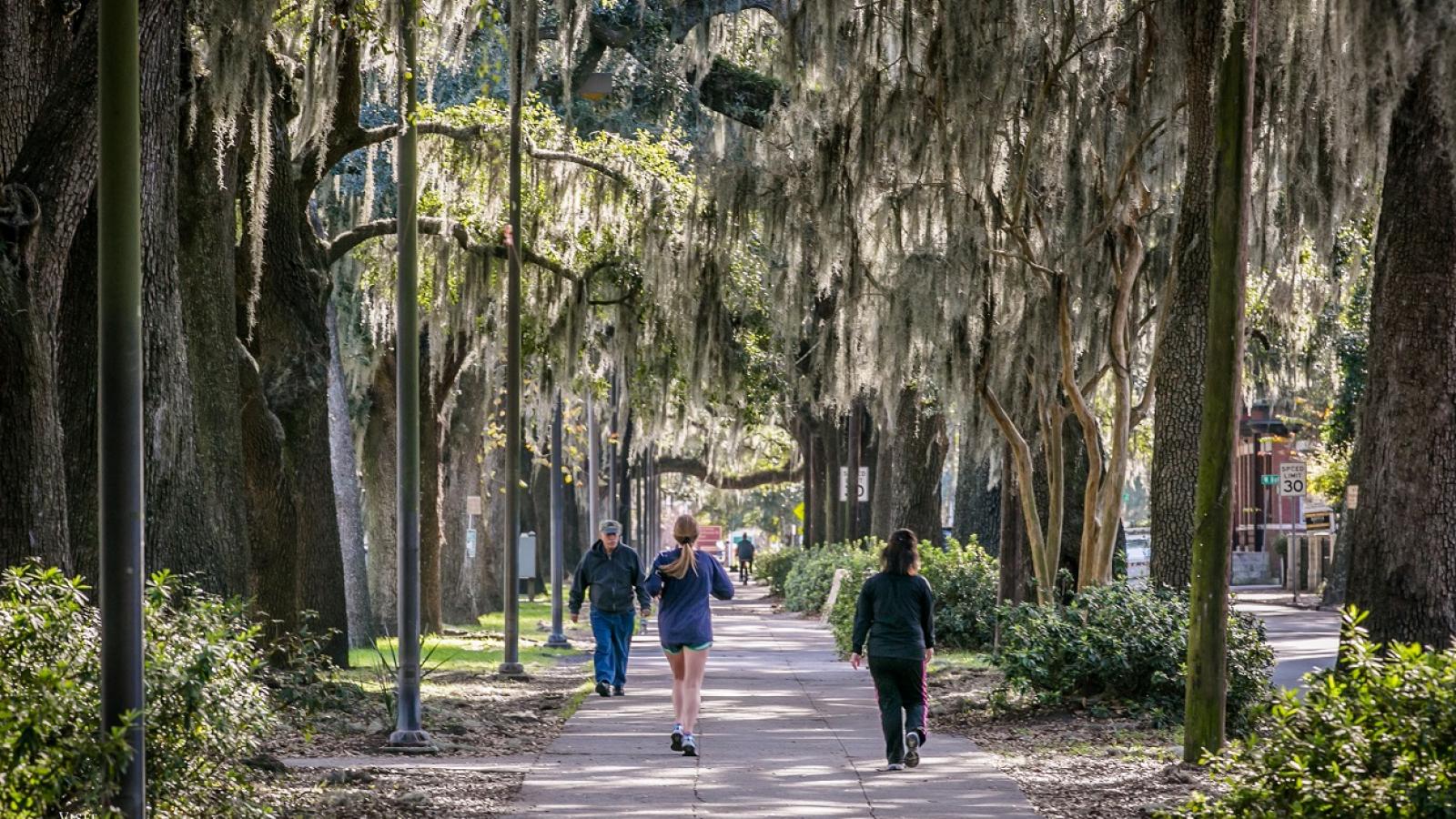 Best Family-Friendly 4th of July Weekend Activities in Savannah | Team ...